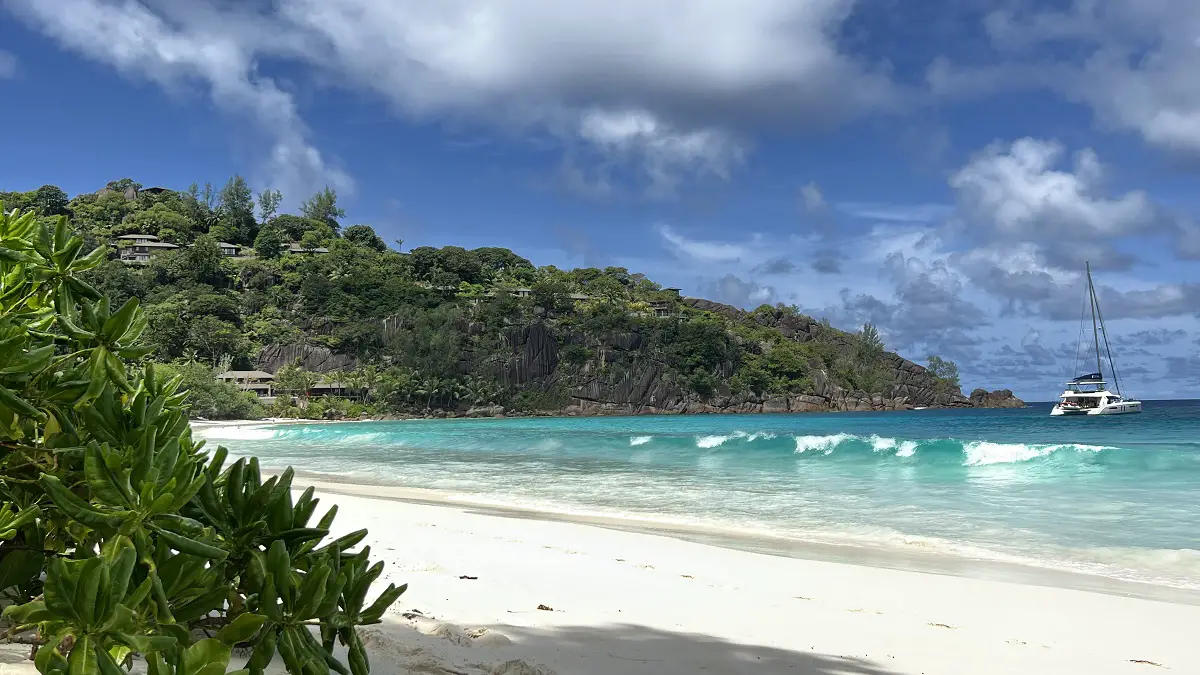 Mahe Vegan Travel Guide - Where and What to Eat