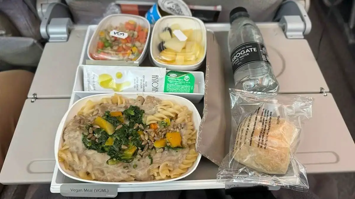 Emirates Vegan Meal - Economy Class Review